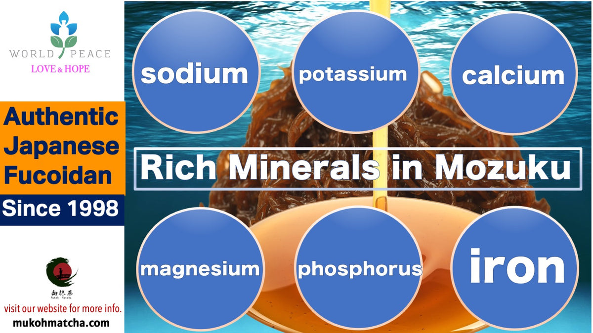 Unveiling the Wonders of Fucoidan: Nature's Secret to Enhanced Health ...