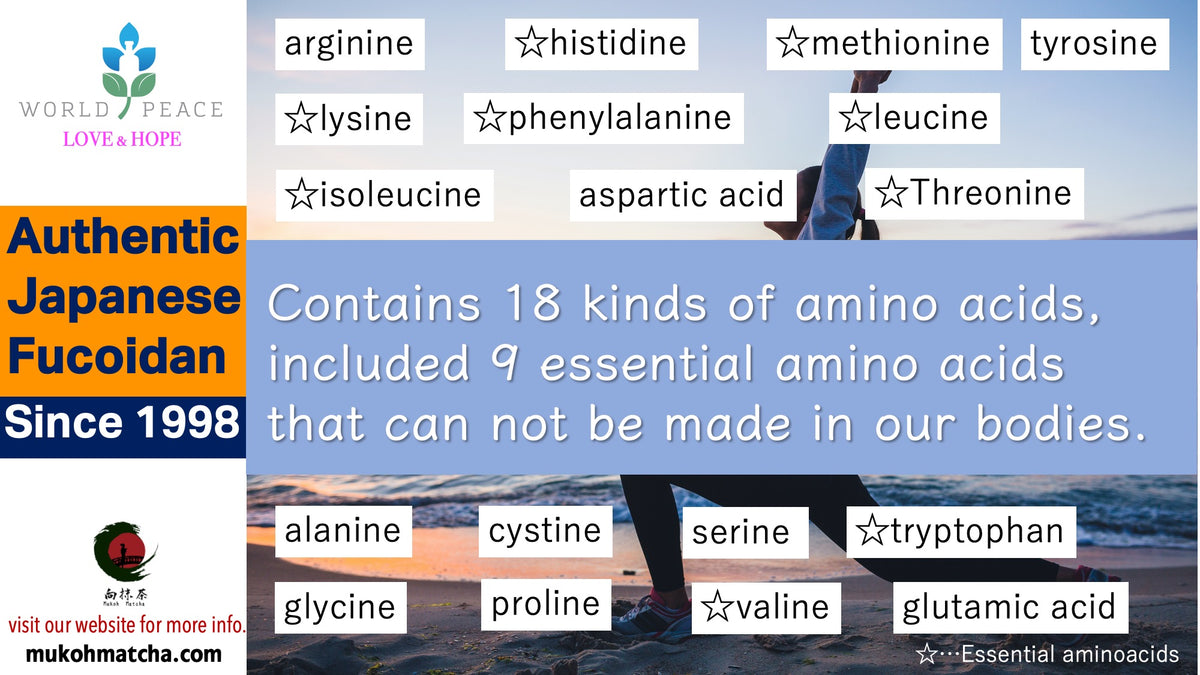 Unleash the Power of the Ocean: Discover Fucoidan and Fucoxanthin at F ...