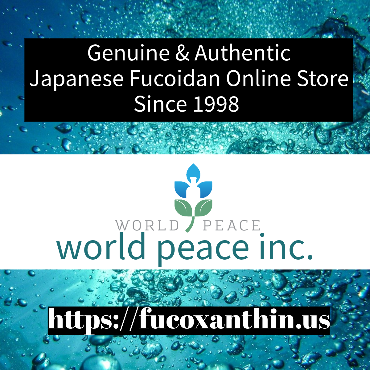 Discover the Finest Japanese Fucoidan at World Peace Inc. – Japanese ...