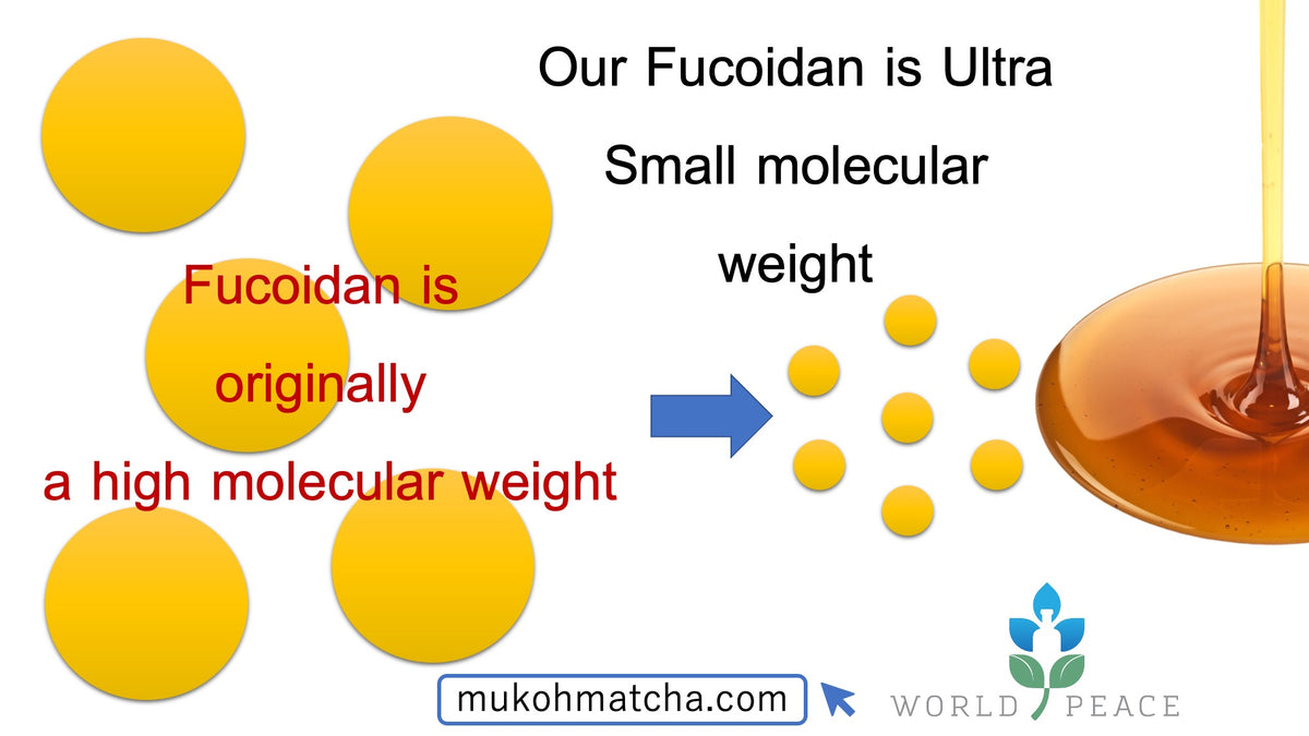 The Power of Precision: Ultra Small Molecular Weight Fucoidan and Its ...