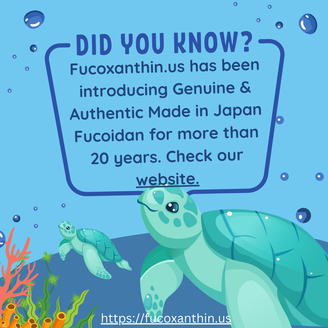 Embracing Tradition, Embracing Wellness: The Timeless Legacy of Japane ...