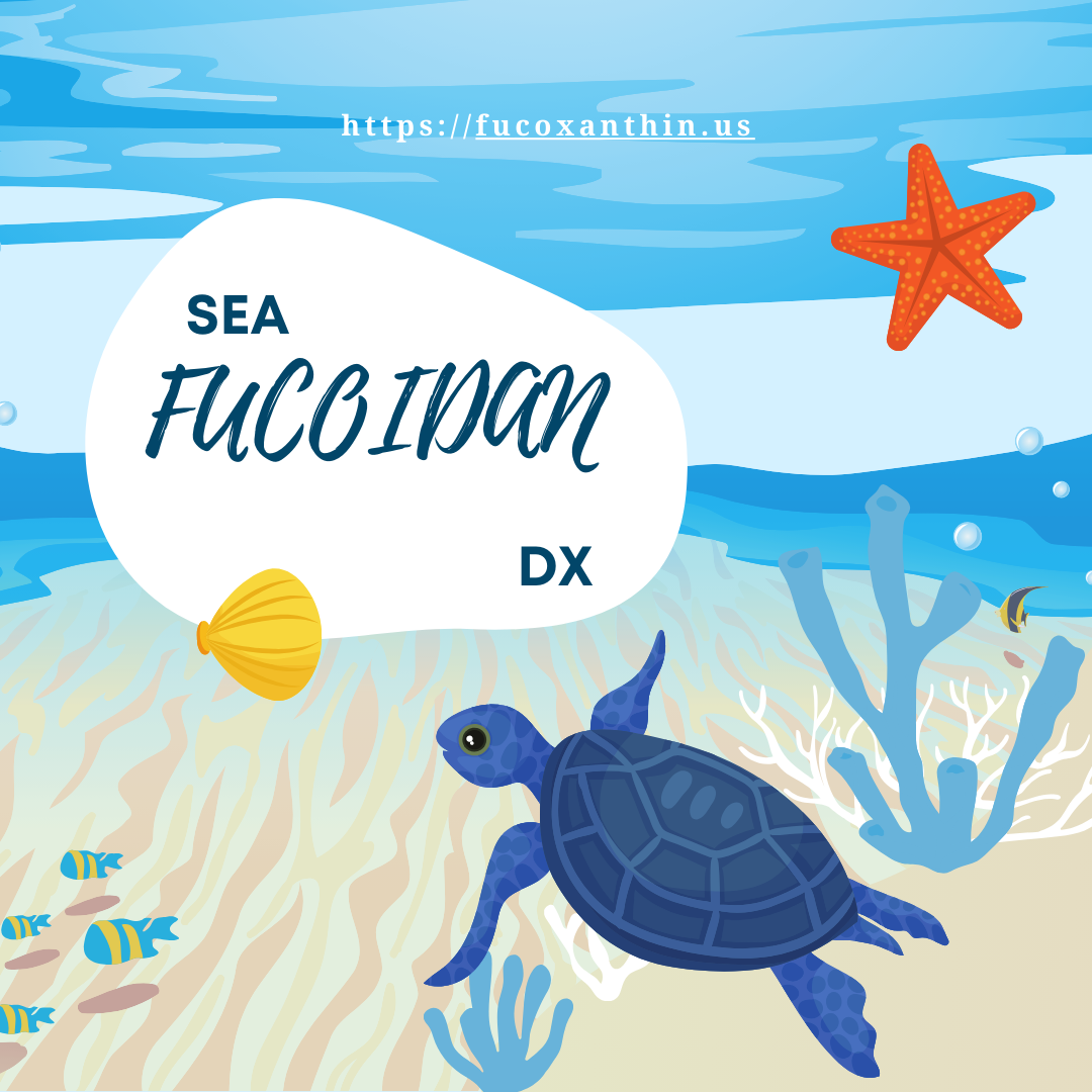 5 Reasons Why Fucoidan is the Best Choice – Japanese Fucoidan ...