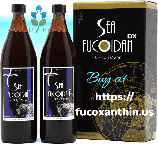 Why Choose Ultra-Low Molecular Liquid Fucoidan from a Trusted Source ...