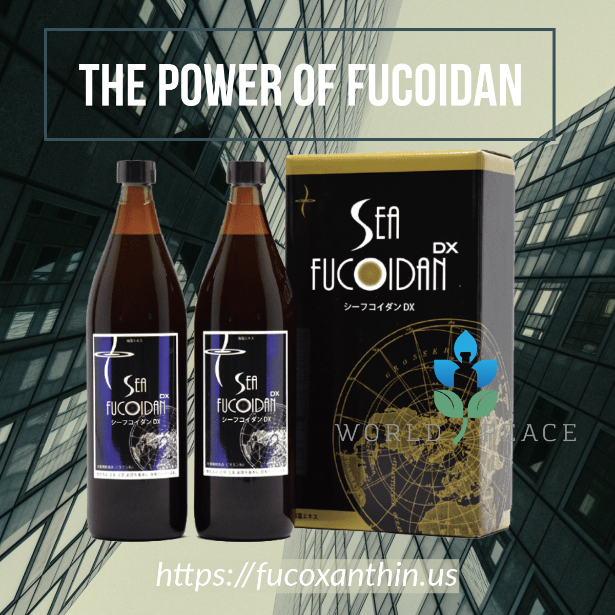 Fucoidan: Unveiling the Miraculous Health Benefits of Seaweed ...