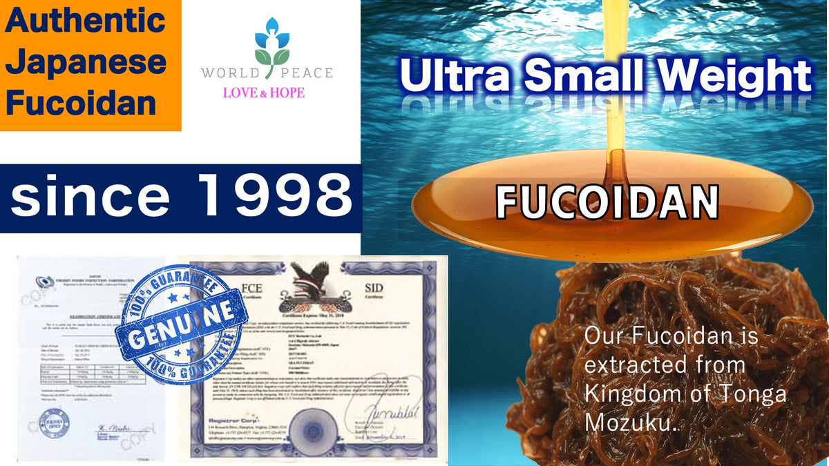 Fucoidan: The Marine Miracle for Holistic Health – Japanese Fucoidan ...